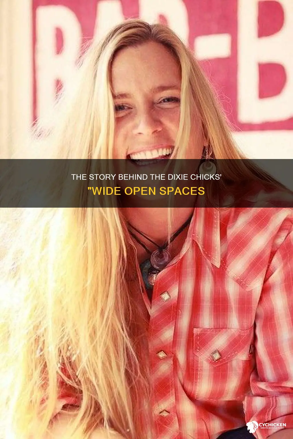 The Story Behind The Dixie Chicks' "Wide Open Spaces | CyChicken