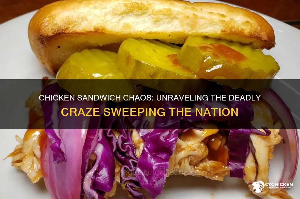 Chicken Sandwich Chaos: Unraveling The Deadly Craze Sweeping The Nation ...