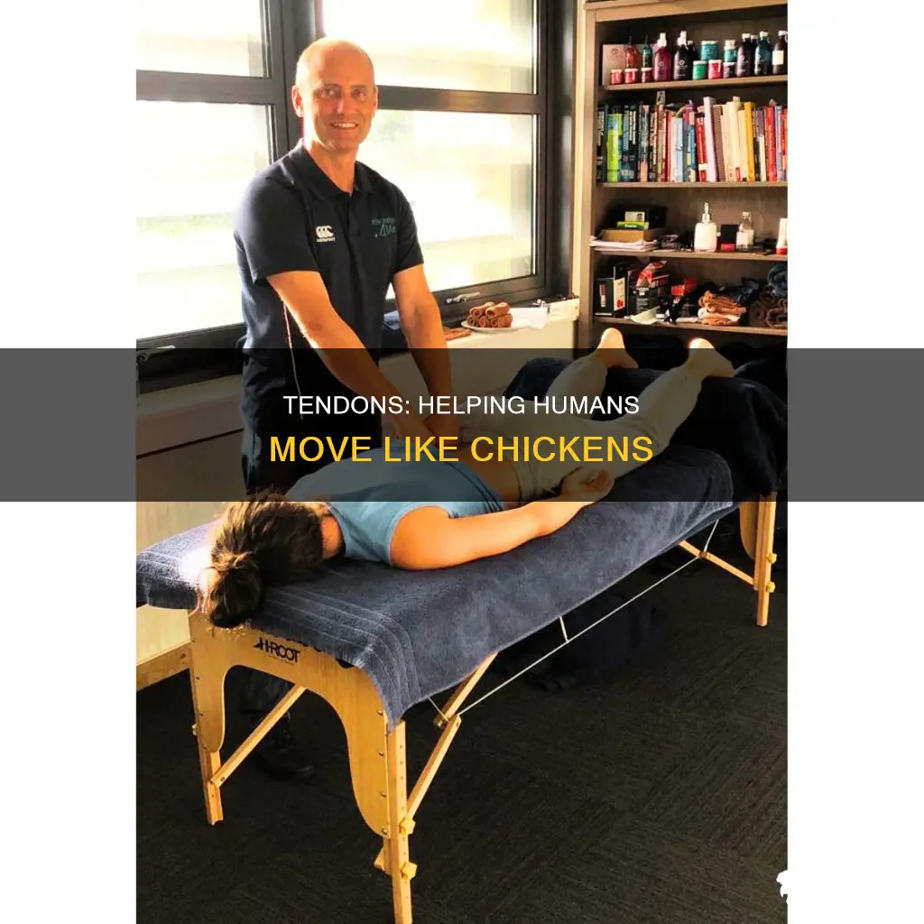 Tendons: Helping Humans Move Like Chickens | CyChicken