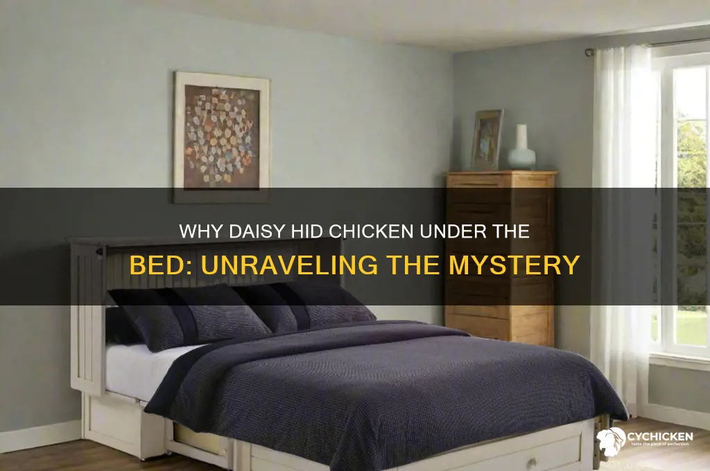 Why Daisy Hid Chicken Under The Bed: Unraveling The Mystery | CyChicken