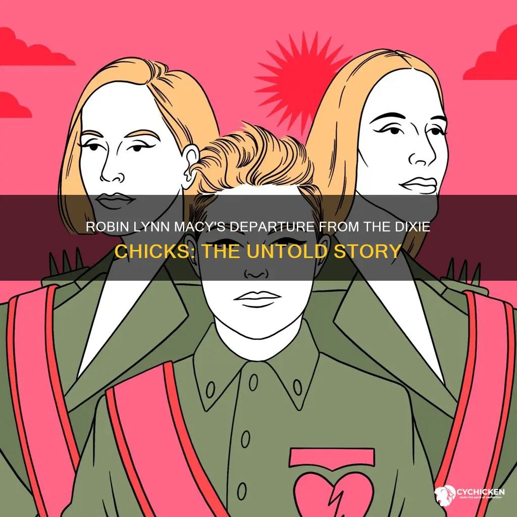 Robin Lynn Macy's Departure From The Dixie Chicks: The Untold Story ...