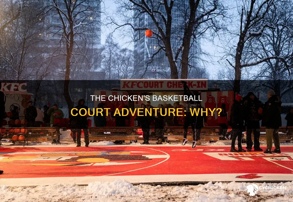 The Chicken's Basketball Court Adventure: Why? | CyChicken