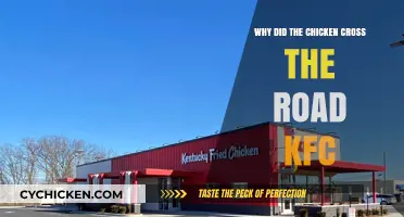 Why Did The Chicken Cross The Road? Unraveling The Kid-Friendly Mystery ...