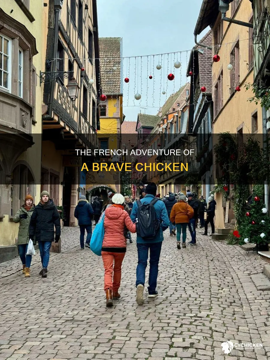 The French Adventure Of A Brave Chicken | CyChicken