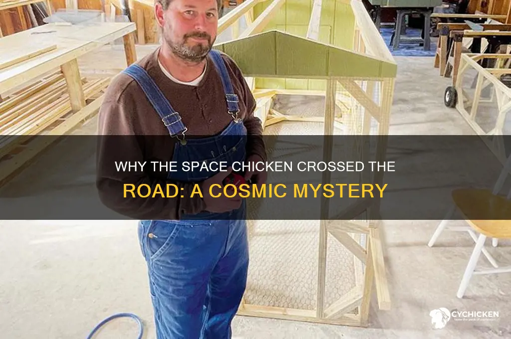 Why The Space Chicken Crossed The Road: A Cosmic Mystery | CyChicken