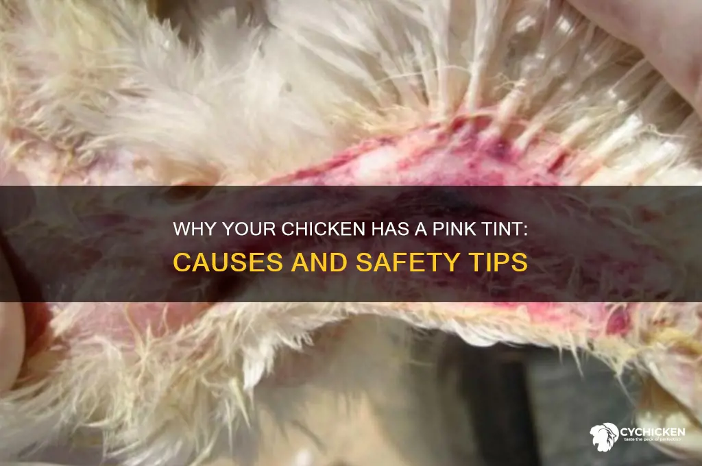Why Your Chicken Has A Pink Tint: Causes And Safety Tips | CyChicken