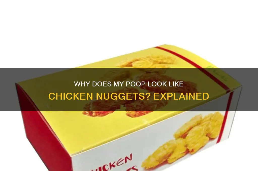 Why Does My Poop Look Like Chicken Nuggets? Explained | CyChicken
