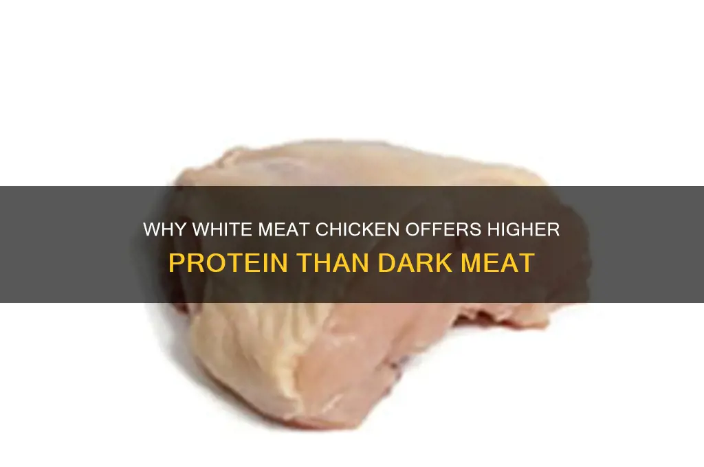 Why White Meat Chicken Offers Higher Protein Than Dark Meat | CyChicken