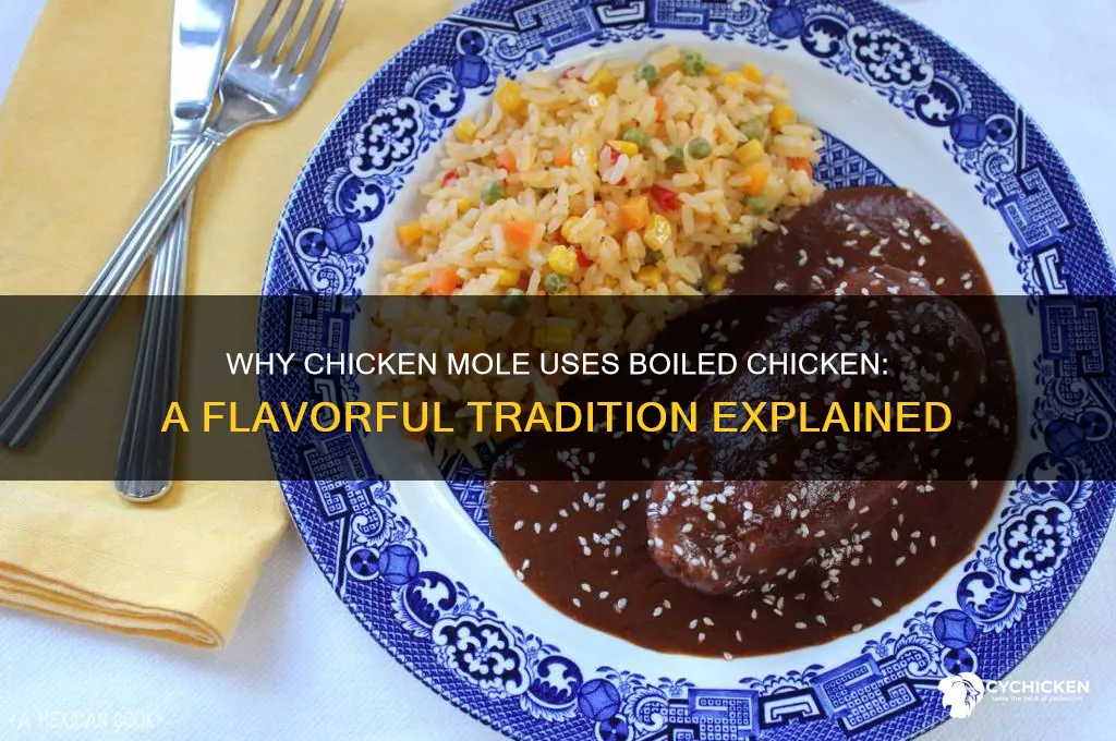 Why Chicken Mole Uses Boiled Chicken: A Flavorful Tradition Explained ...