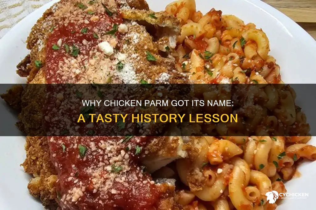 Why Chicken Parm Got Its Name: A Tasty History Lesson | CyChicken