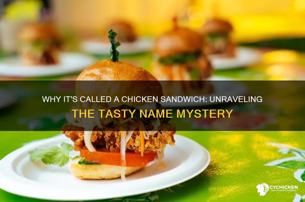 Why It's Called A Chicken Sandwich: Unraveling The Tasty Name Mystery ...
