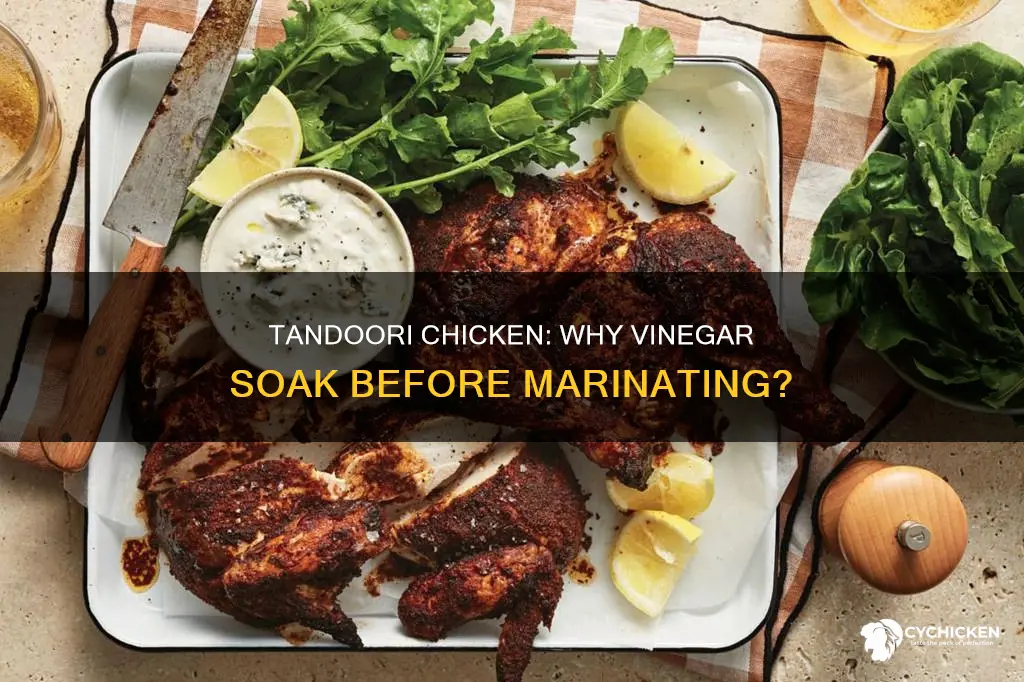 Tandoori Chicken: Why Vinegar Soak Before Marinating? | CyChicken