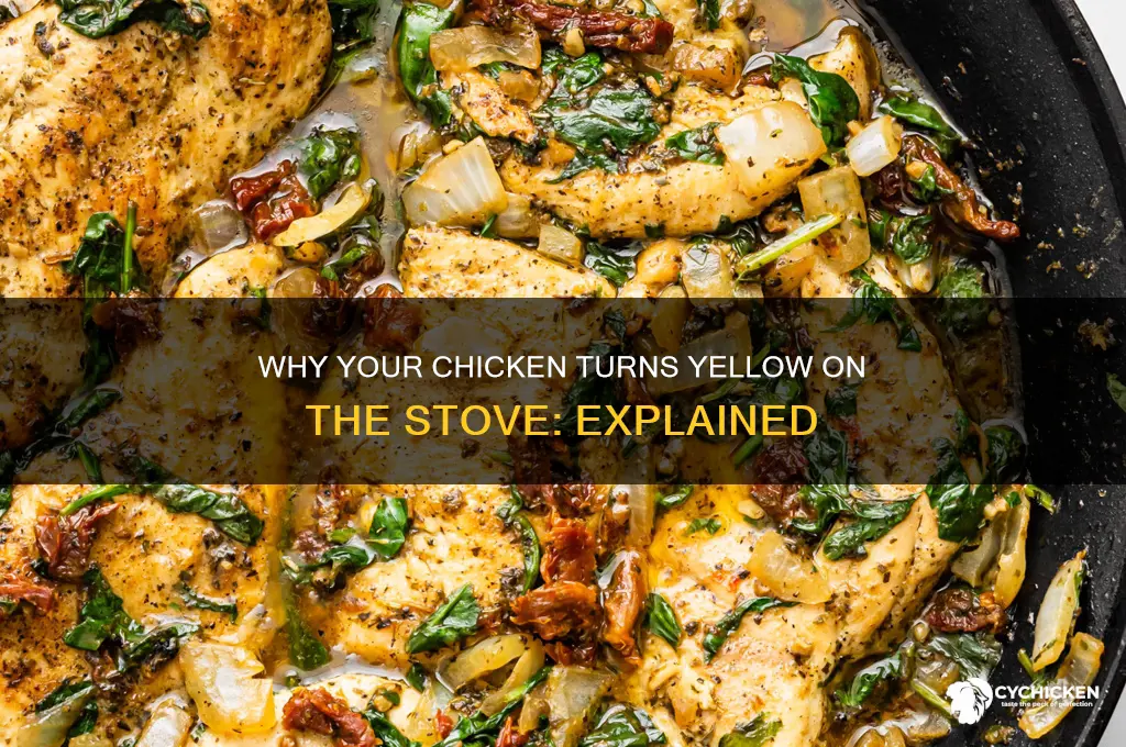 Why Your Chicken Turns Yellow On The Stove: Explained | CyChicken