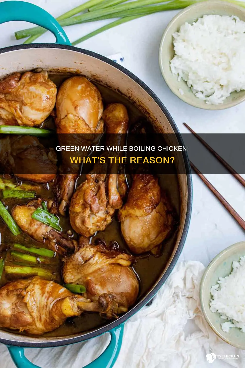 Green Water While Boiling Chicken: What's The Reason? | CyChicken