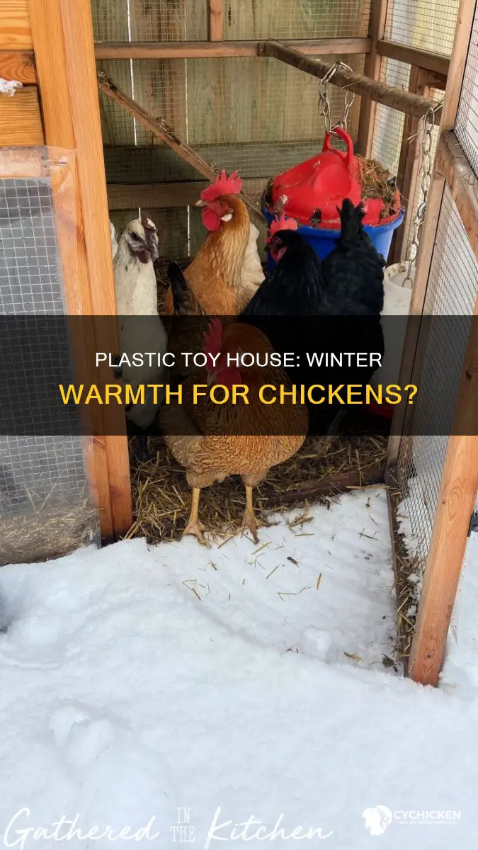 Plastic Toy House: Winter Warmth For Chickens? | CyChicken