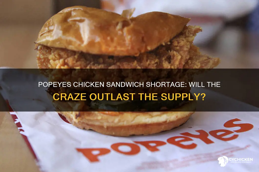 Popeyes Chicken Sandwich Shortage: Will The Craze Outlast The Supply ...